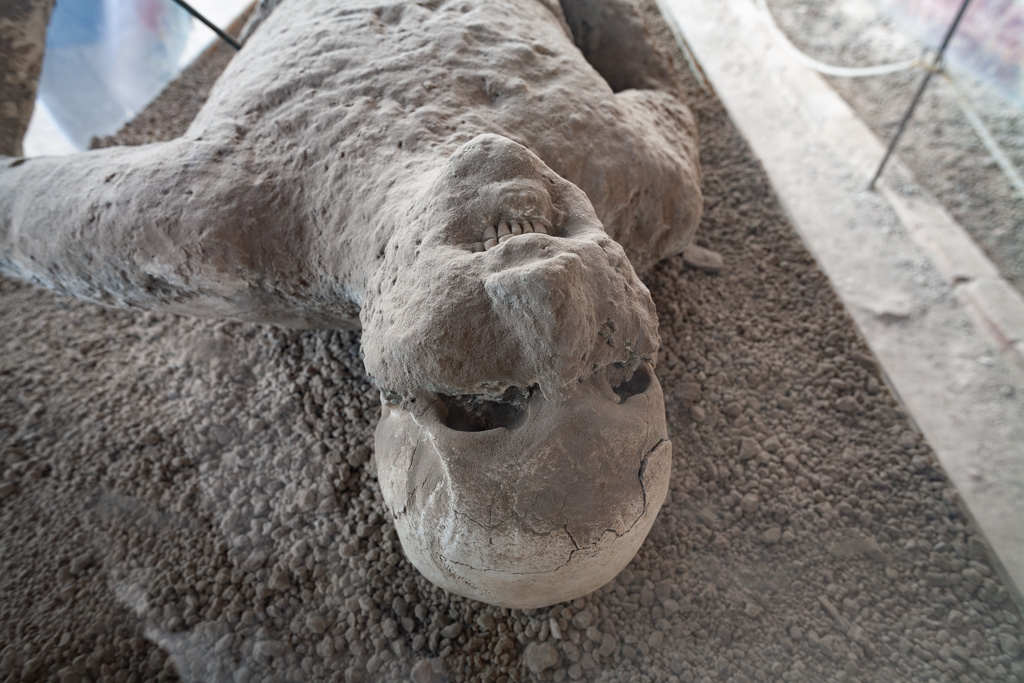 Photo of the Day - by Tobias Schorr: A Close up of one of the Victims ...